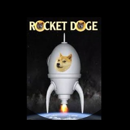 DOGE [Rocket DOGE] Token — ALERT: phishing / airdrop scam — info & audit ...