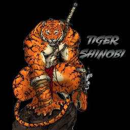 TSHINOBI [Tiger Shinobi] Token — ALERT: unclassified scam — info ...