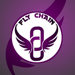 FLY [FLY-Chain] Token — ALERT: rug pull scam — info & audit ...